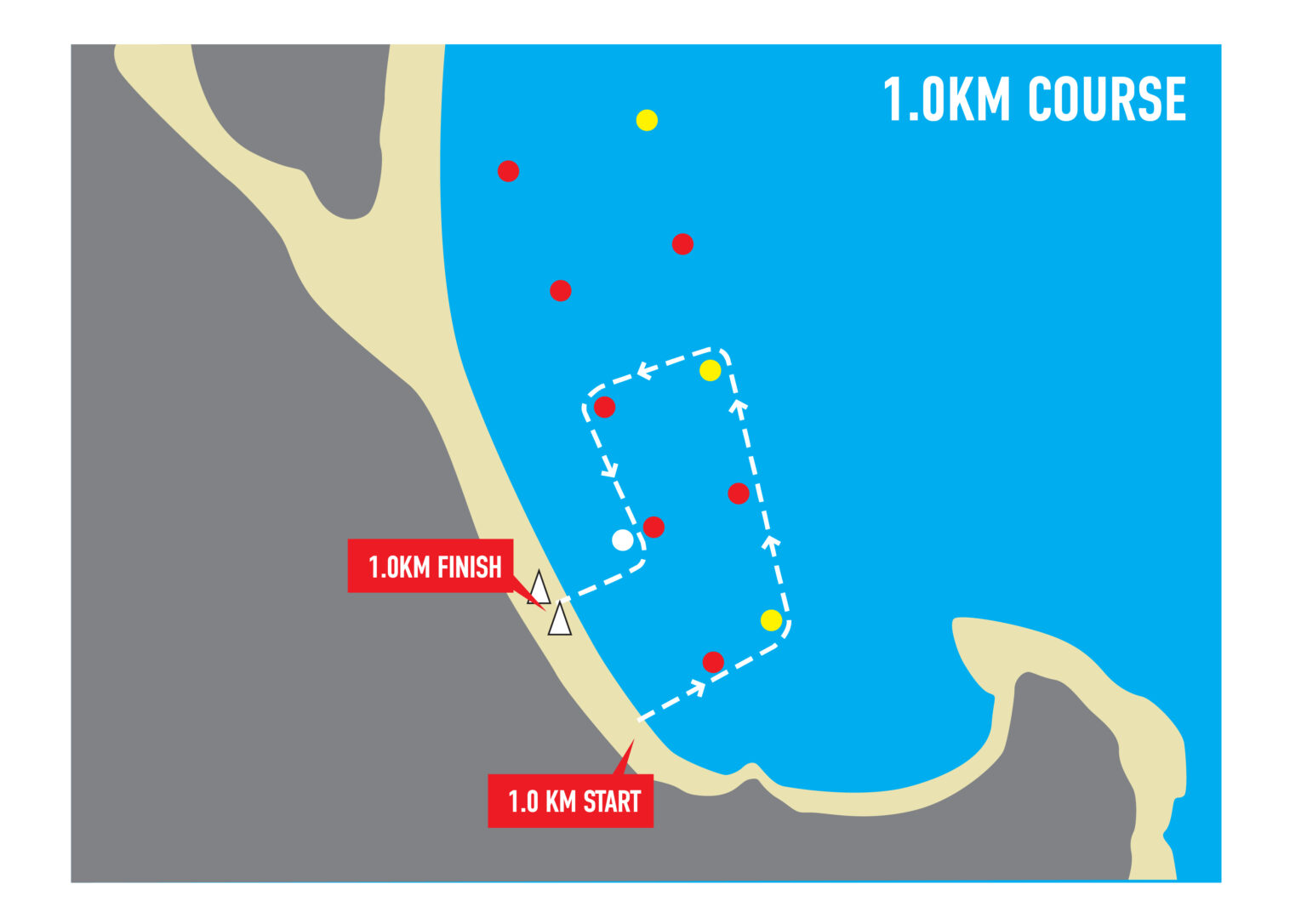 Terrigal Swim Fest | Course Info | World Series Swims